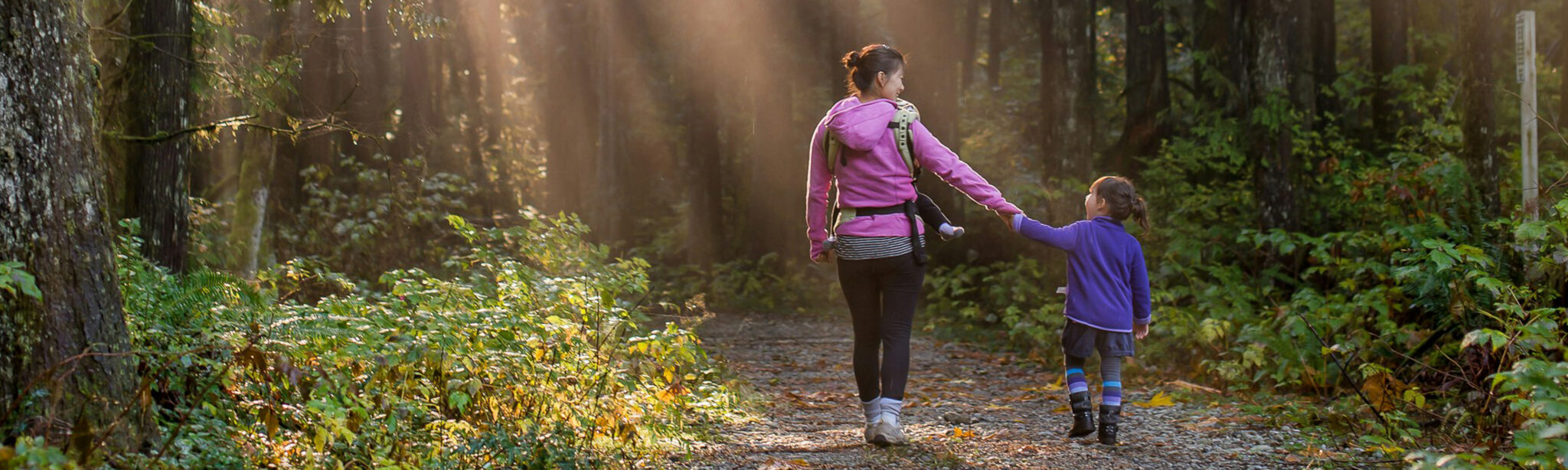 Faith And The Environment – St Francis of Assisi